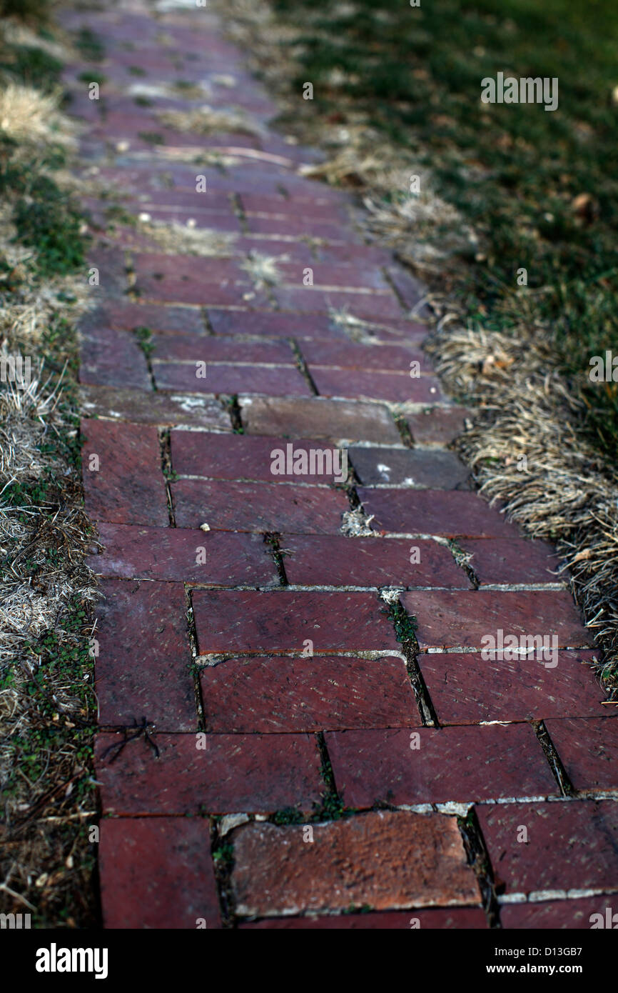 Narrow brick path Stock Photo - Alamy