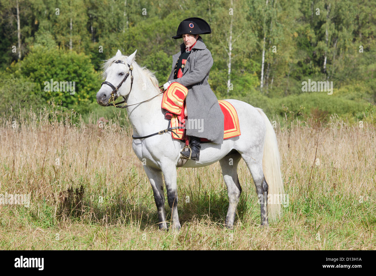 Napoleon Bonaparte on his beautiful white horse Marengo in Borodino ...
