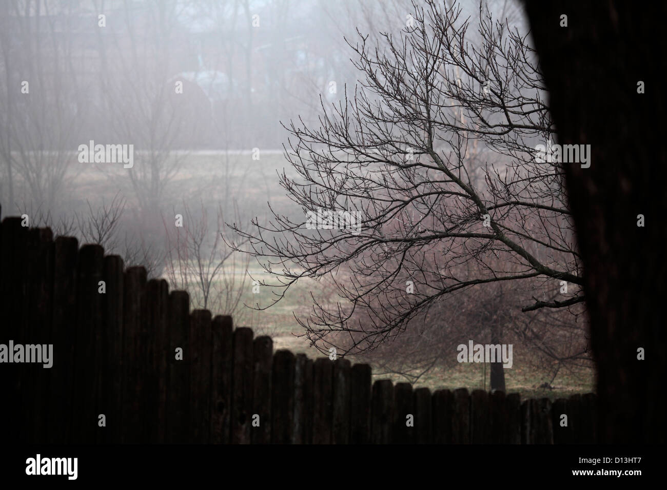 Nature scene fog on hi-res stock photography and images - Alamy