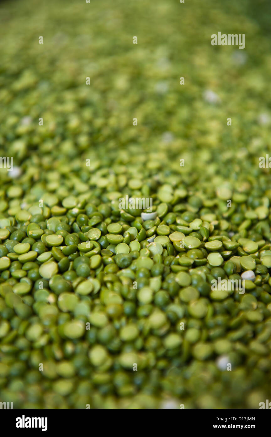 Close-Up Of Split Peas; Portage La Prairie Manitoba Canada Stock Photo ...