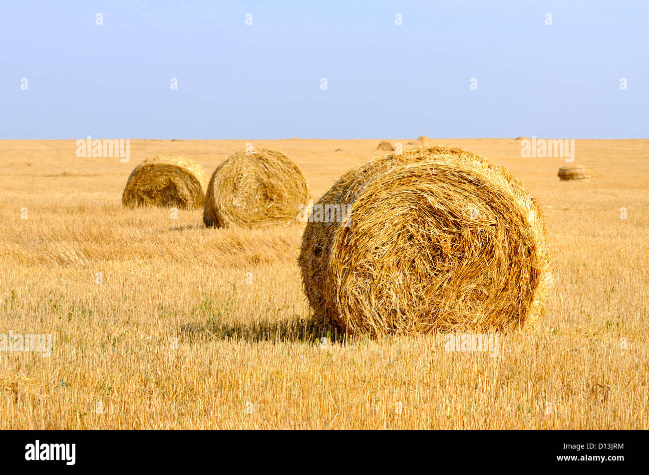 rural landscape with straw rolls Stock Photo - Alamy