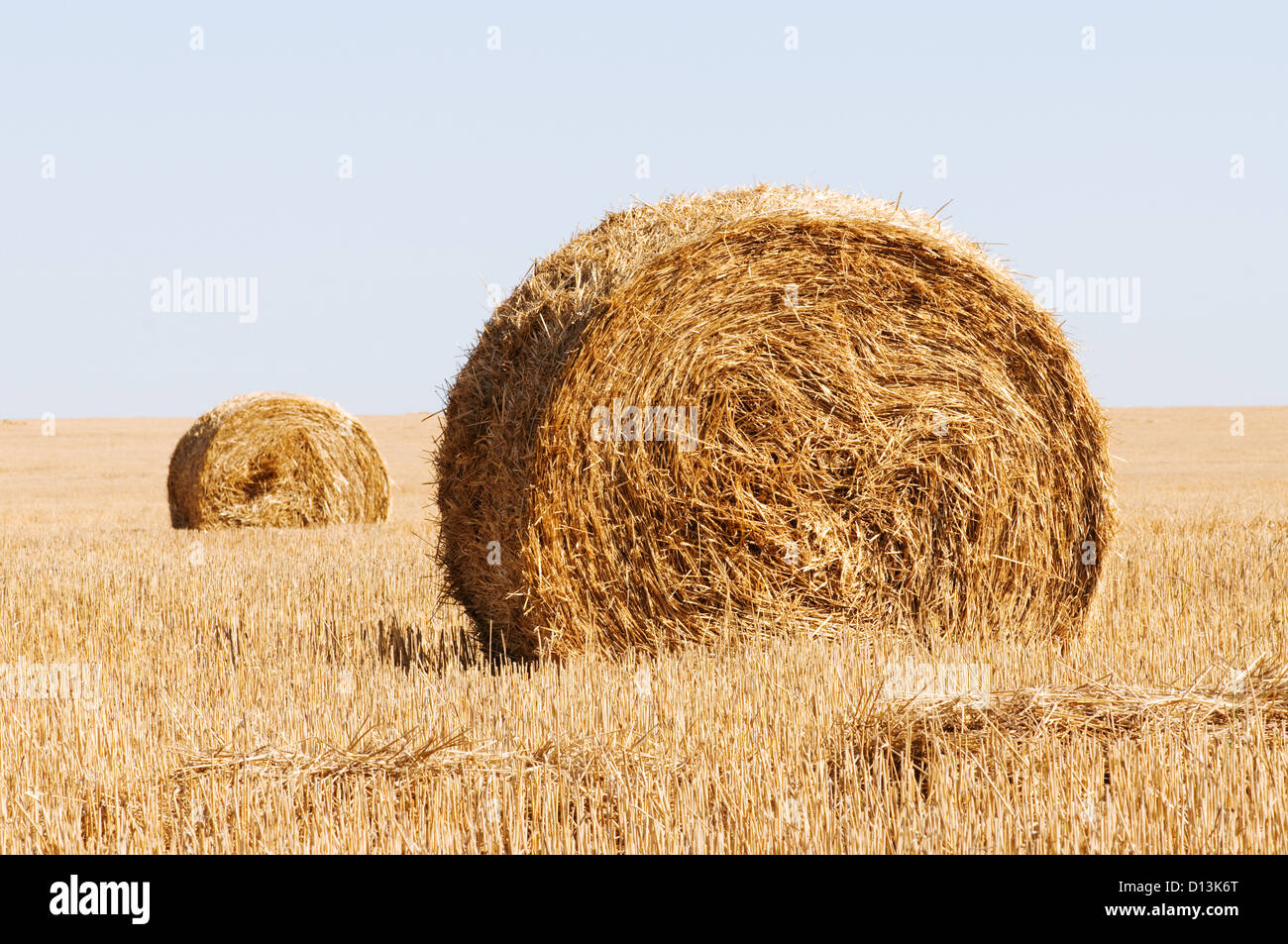 rural landscape with straw rolls Stock Photo - Alamy