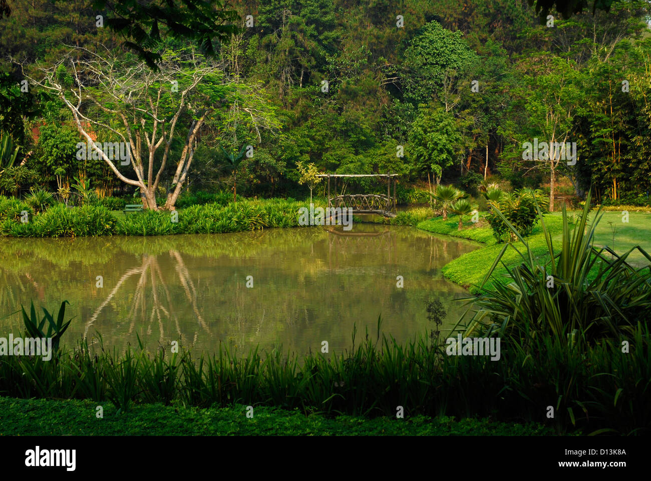 Golden Triangle,Green, water, Chiang Rai, village, Thailand, Asia Stock ...