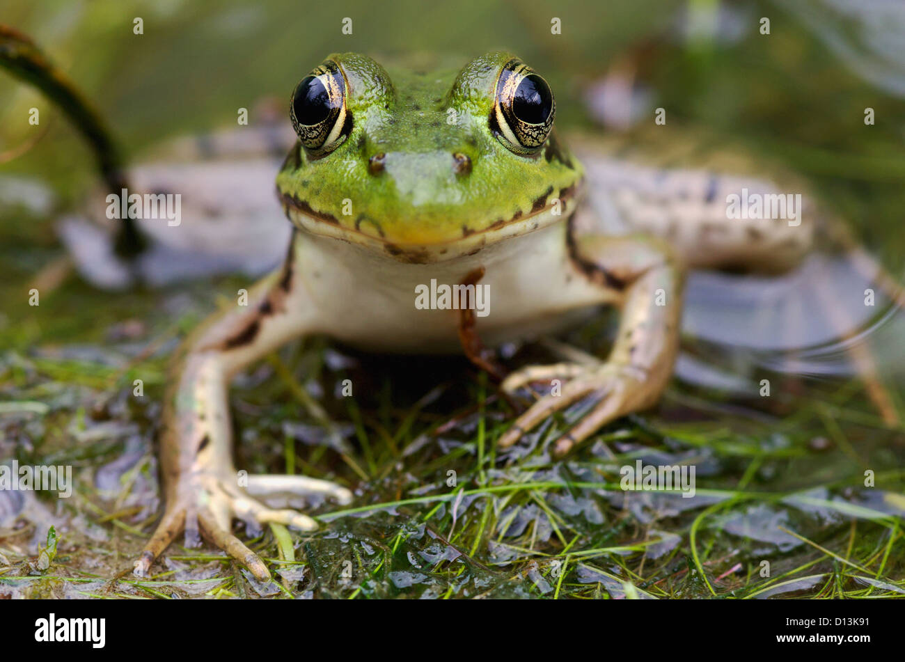 Vaudreuil hi-res stock photography and images - Alamy