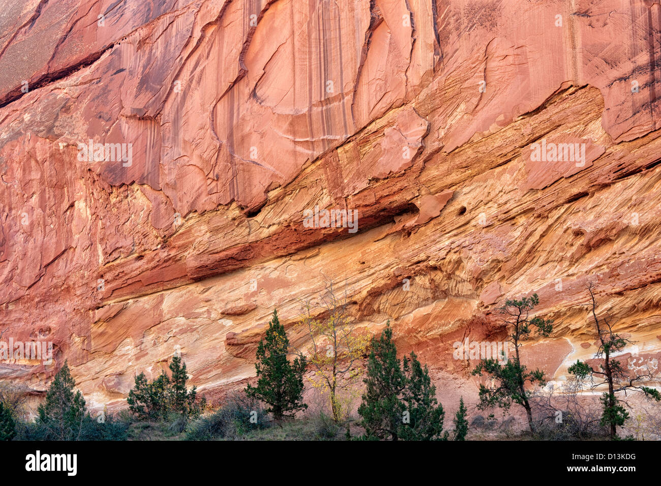Reflective light illuminates the canyon walls of Grand Wash and Utah’s ...