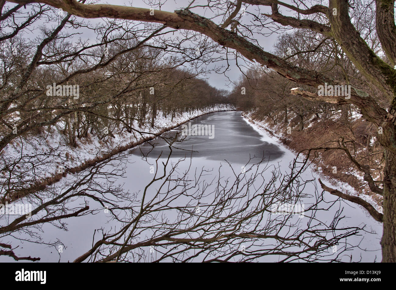 snow water and trees in the winter Stock Photo - Alamy