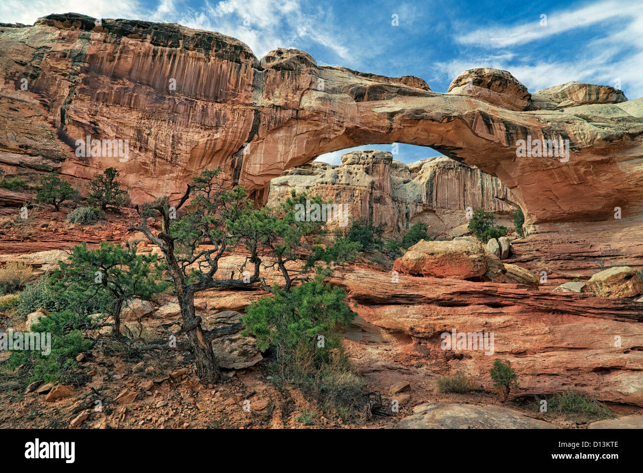 The Hickman Bridge is a sandstone natural arch spanning 133 feet in ...