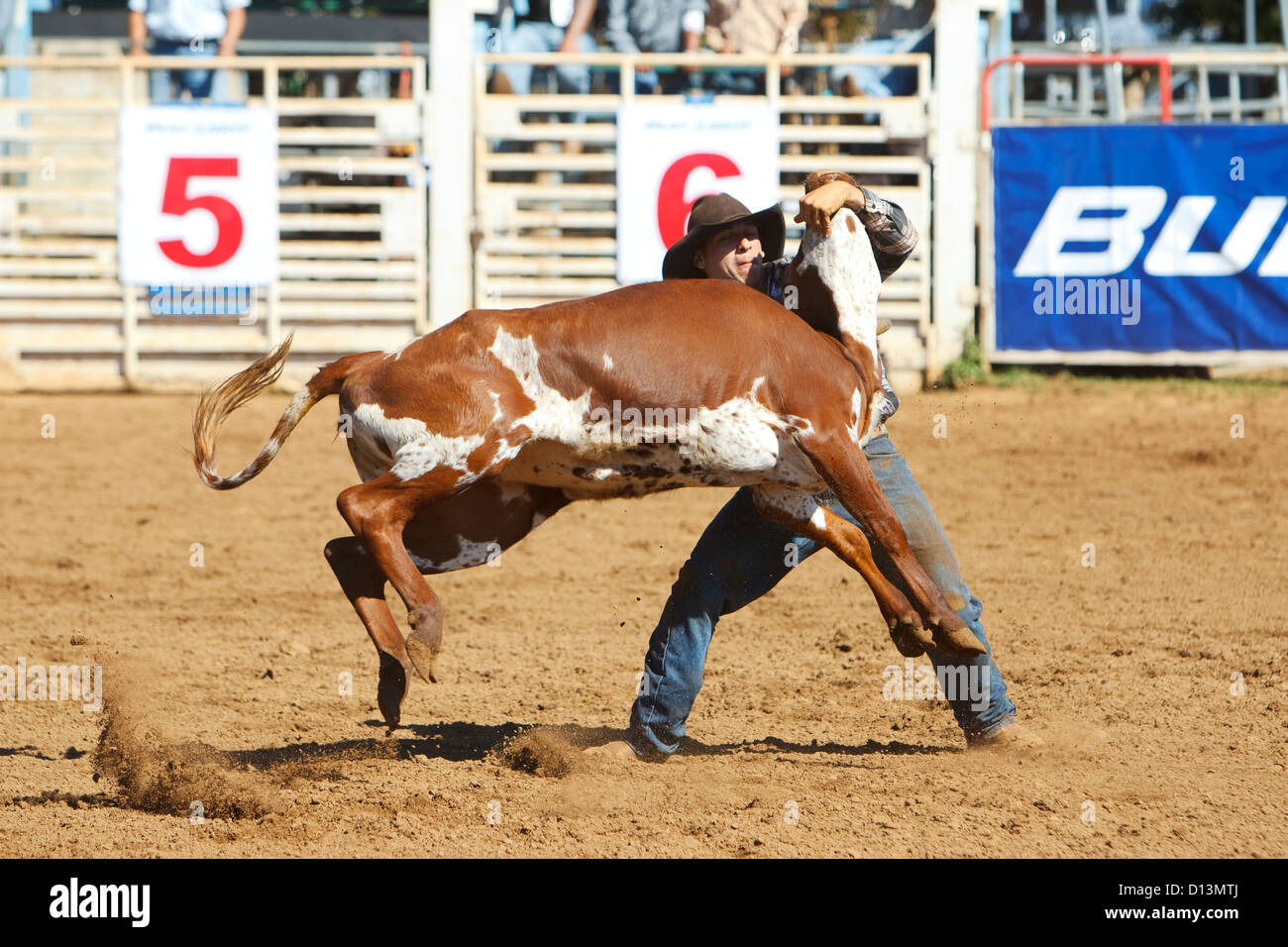 Maui 4th of july hi-res stock photography and images - Alamy