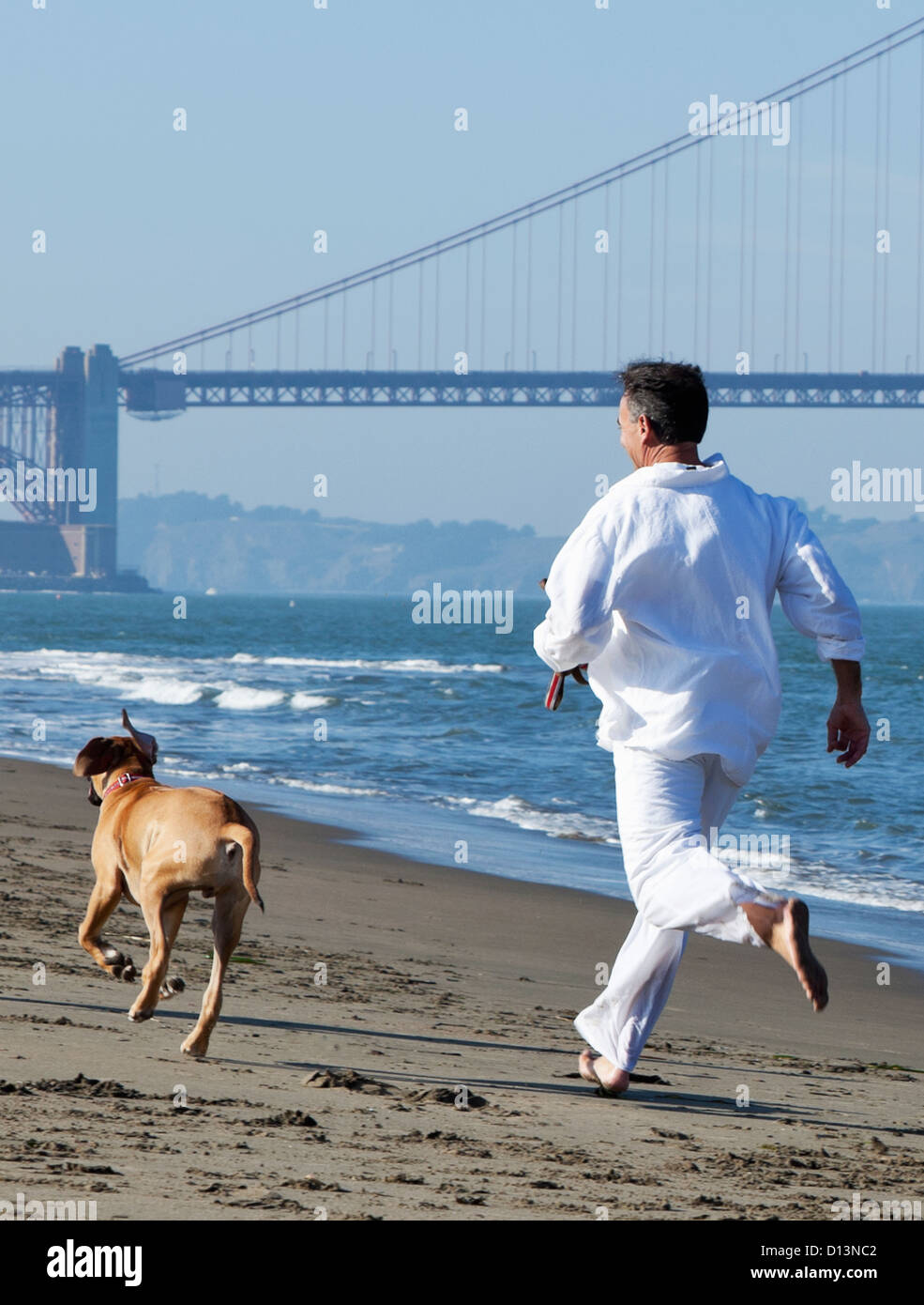Man jogging with dog on beach hi-res stock photography and images - Alamy
