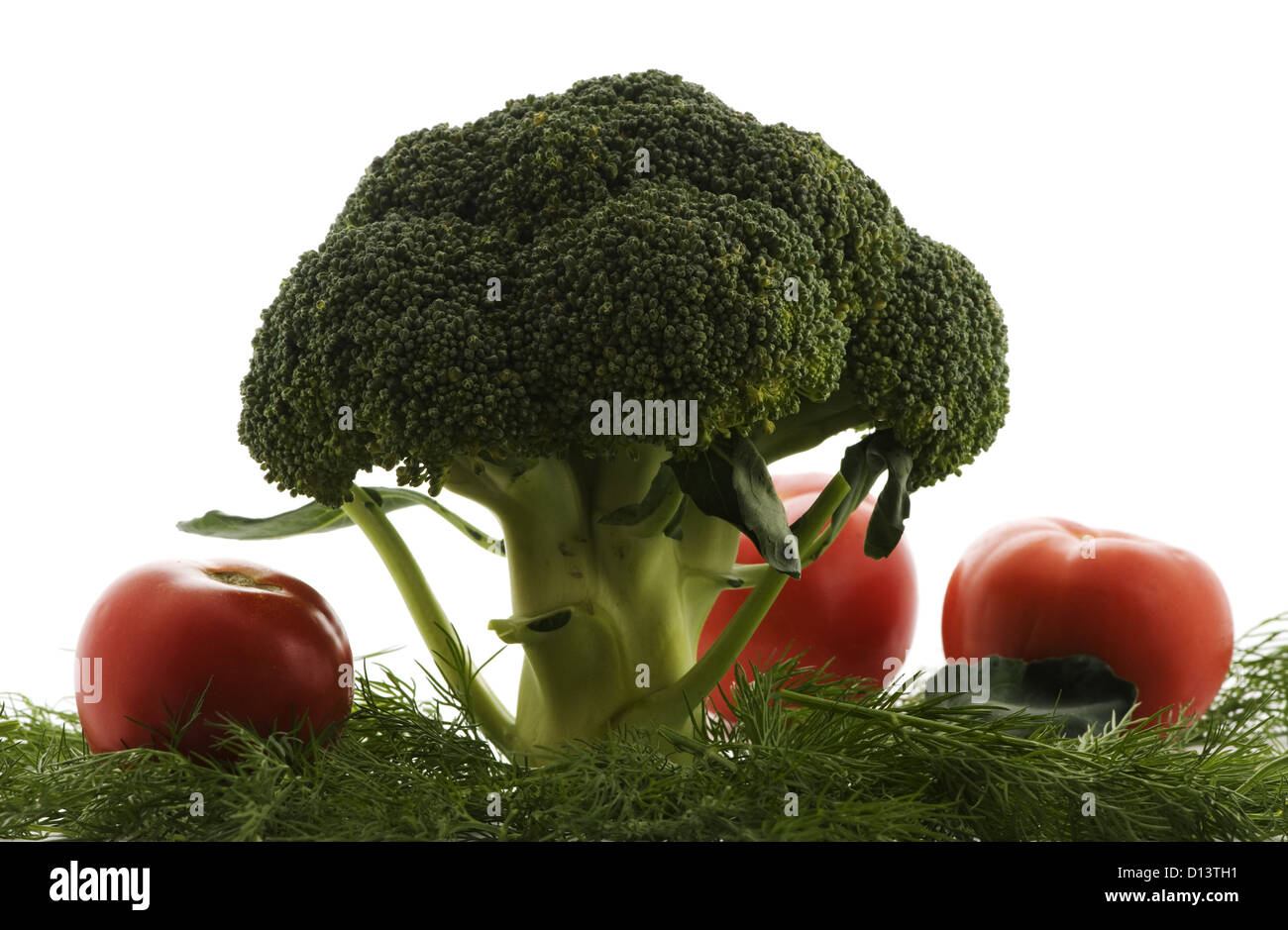 green broccoli tree with dill grass and tomato isolated on white Stock ...