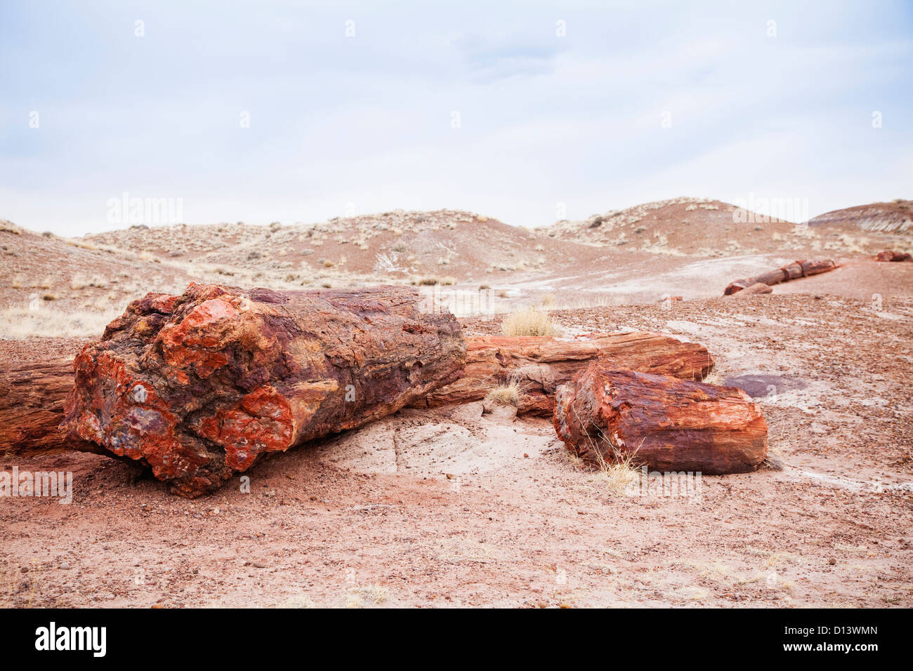USA, Arizona, Petrified Forest National Park, View of desert and rock ...