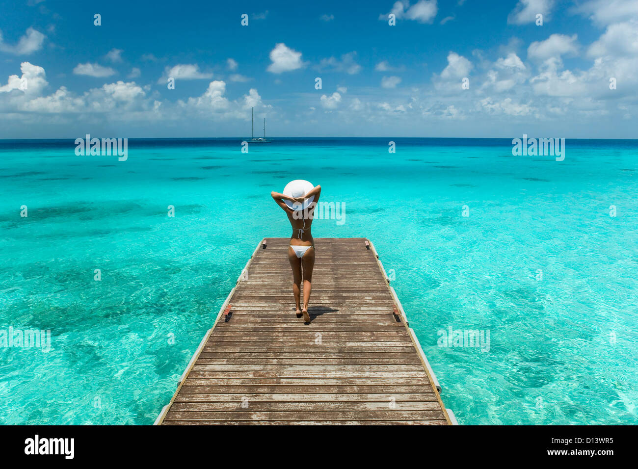 Back view from behind back view tourist hi-res stock photography and ...