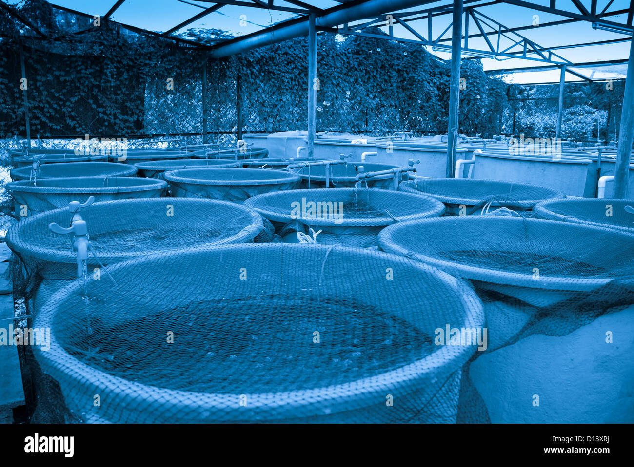 Agriculture aquaculture water system farm Stock Photo - Alamy