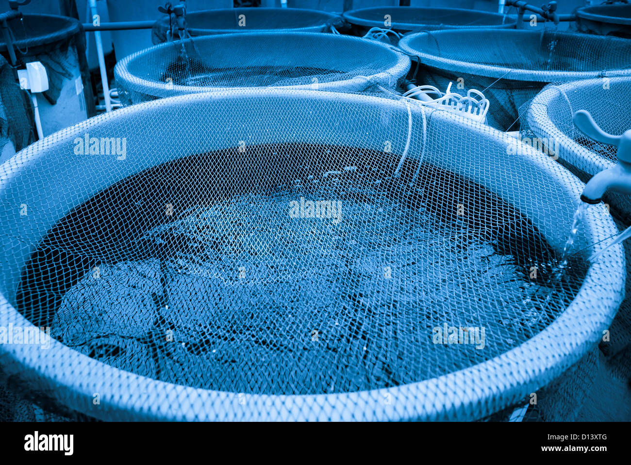 Agriculture aquaculture water system farm Stock Photo - Alamy