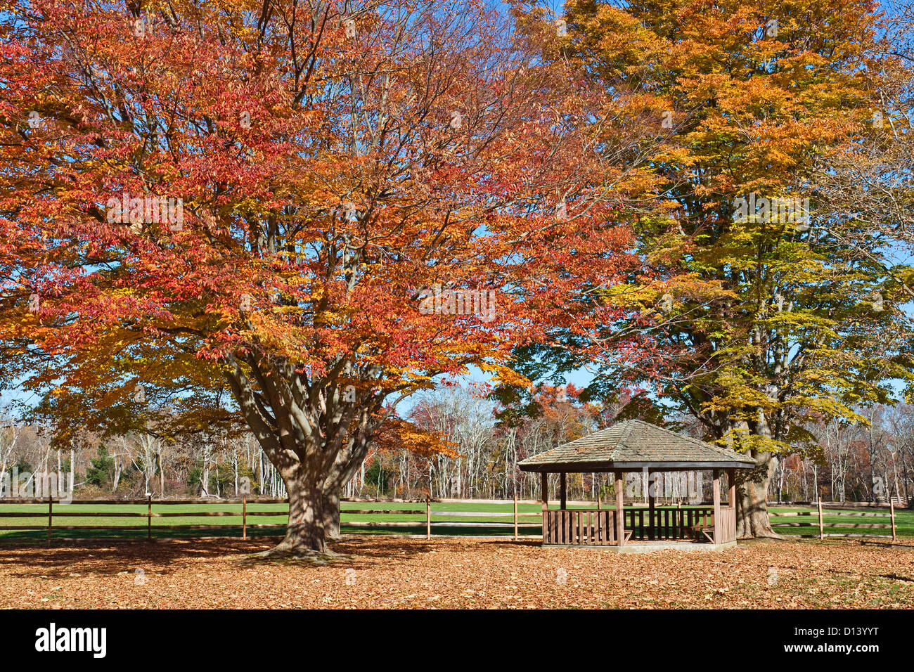 A wooden Gazebo in a park with surrounding trees showing fall foliage ...