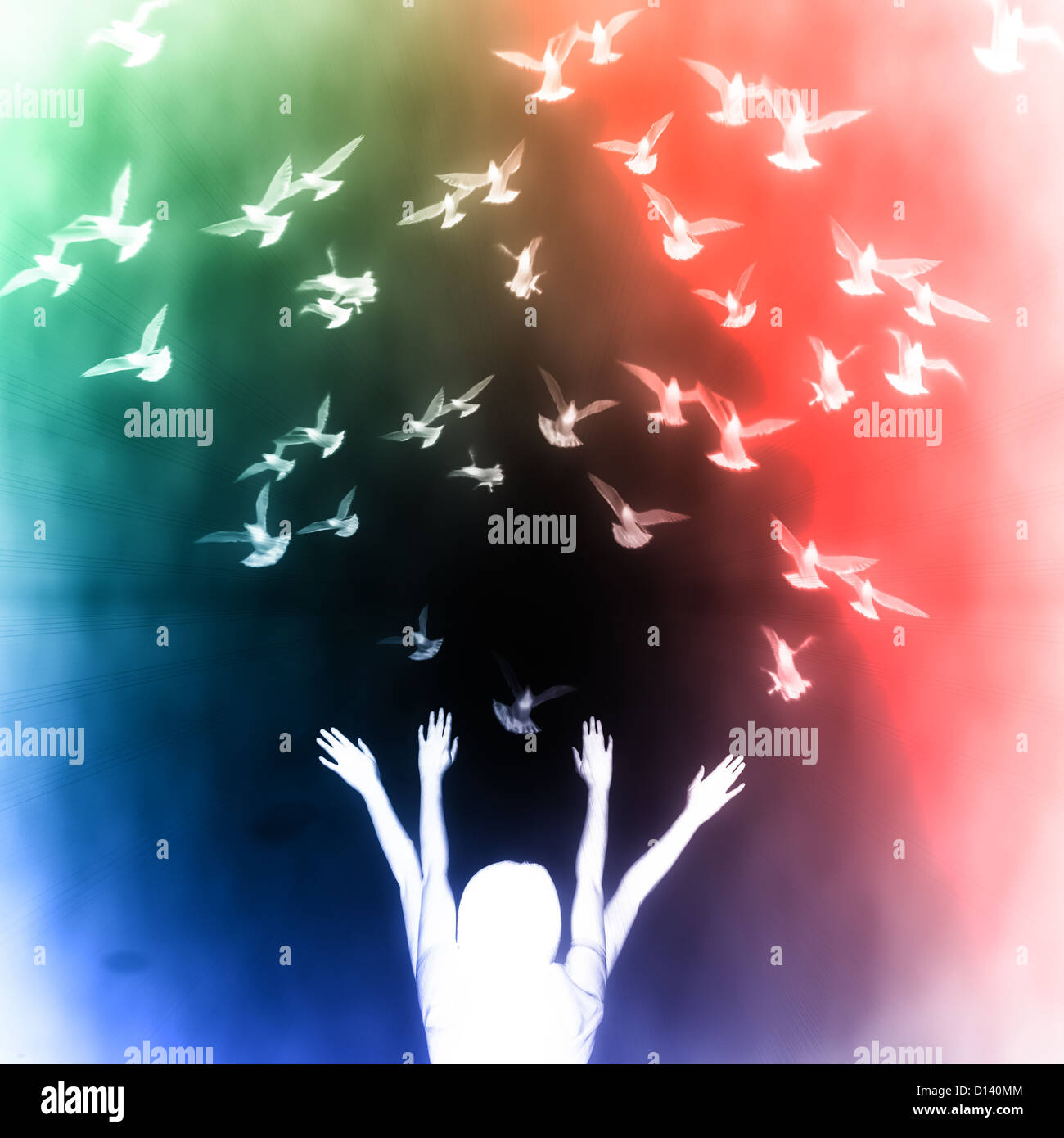 Silhouette of girl and dove, freedom and peace concept Stock Photo - Alamy