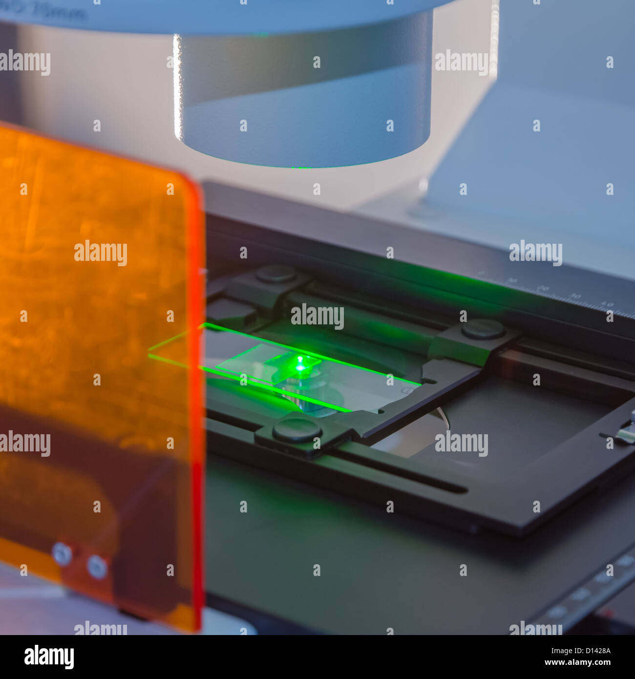 science slide under fluorescent microscope Stock Photo - Alamy