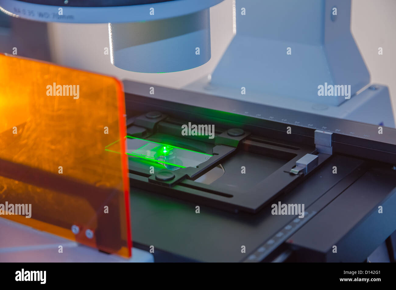 Under the microscope hi-res stock photography and images - Alamy