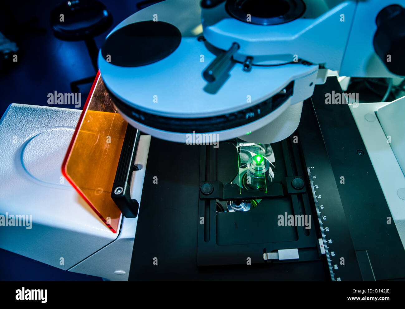 science slide under fluorescent microscope Stock Photo - Alamy