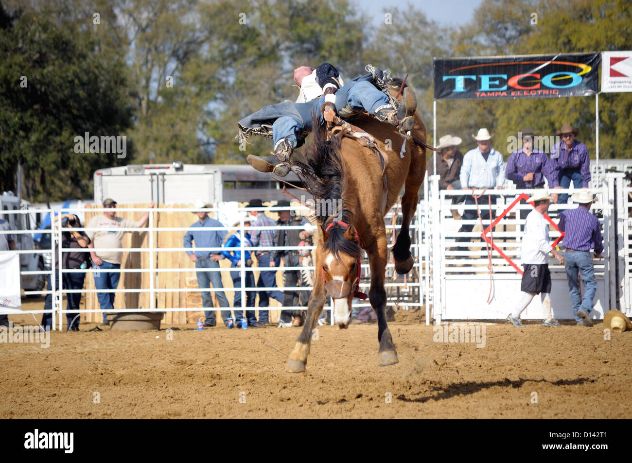 Bronco riding hi-res stock photography and images - Alamy