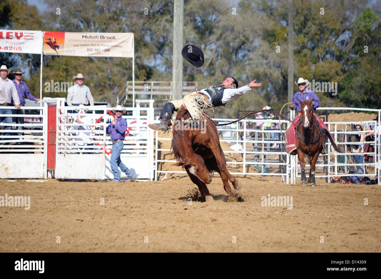 rodeo bronco riding Stock Photo - Alamy