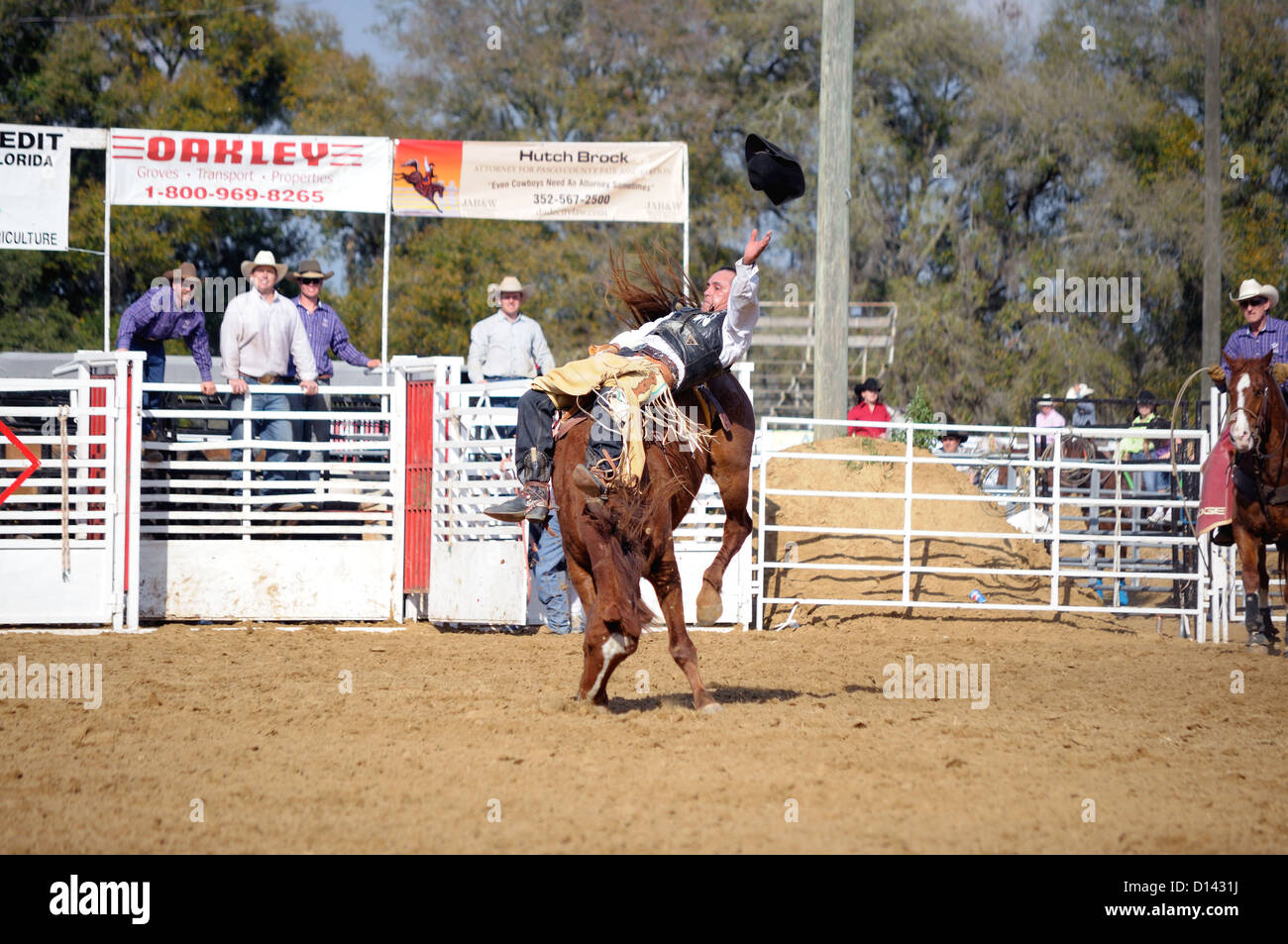 Bronco riding hi-res stock photography and images - Alamy