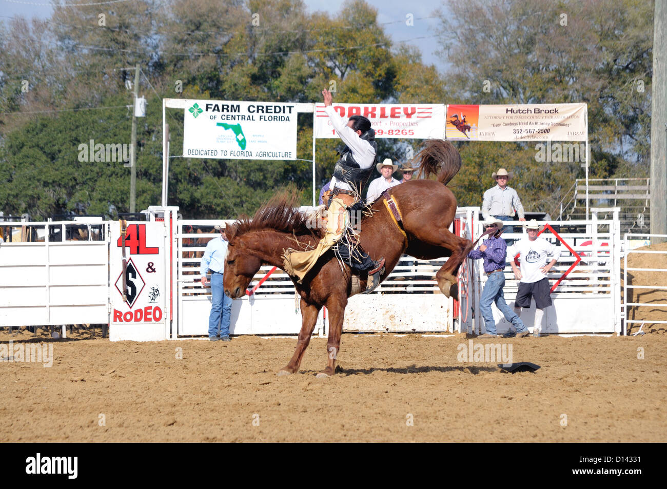 rodeo bronco riding Stock Photo - Alamy