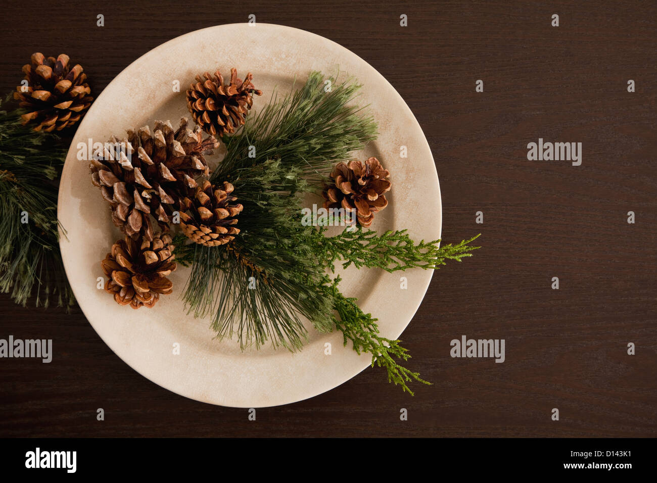 Evergreen plate hi-res stock photography and images - Alamy