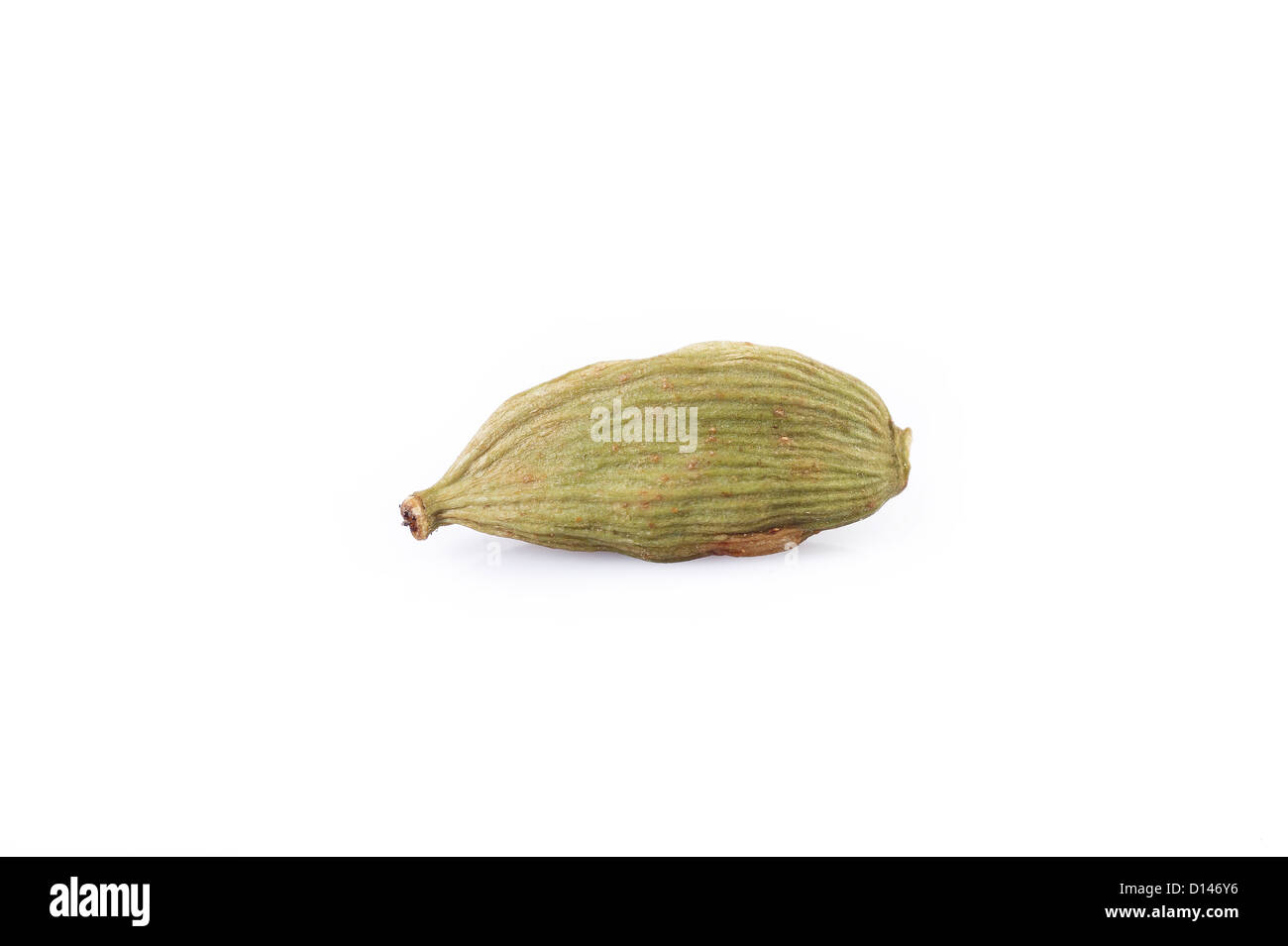 Cardamon on white background Stock Photo - Alamy