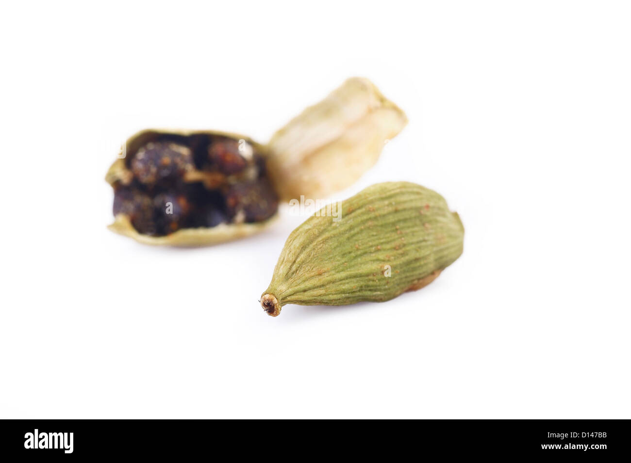 Cardamon plant hi-res stock photography and images - Alamy