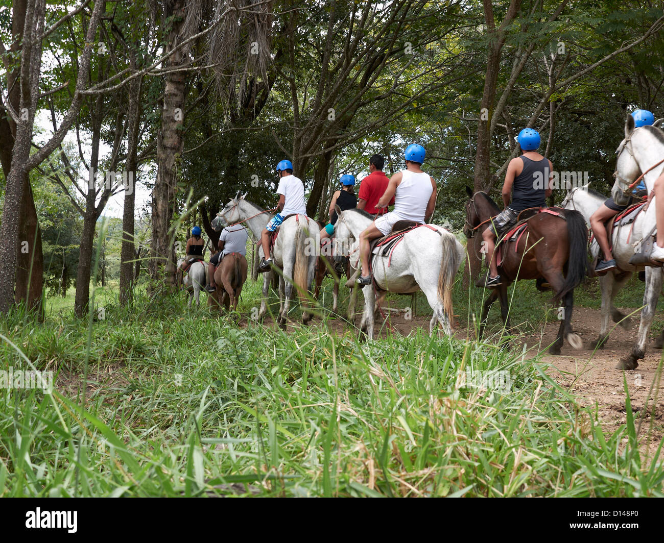 equestrian group in tropical rainforest; Las Palais; Ricòn de la Vieja ...