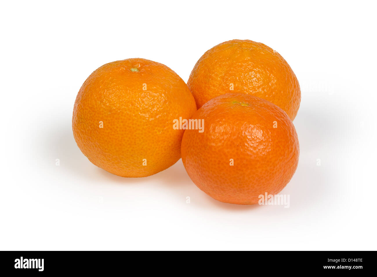 Without leaves Cut Out Stock Images & Pictures - Alamy