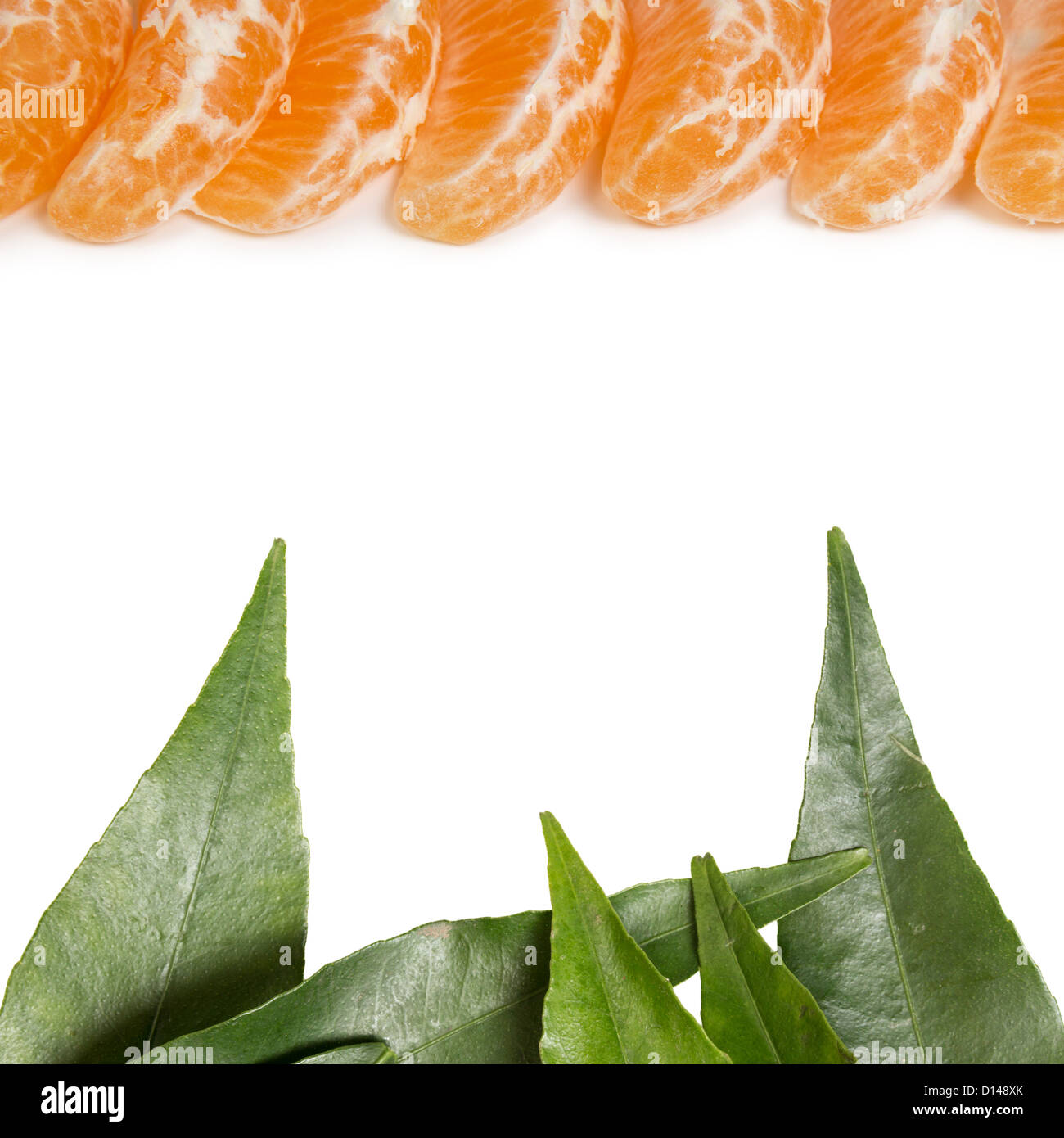 frame from tangerine slices and leaves isolated on white Stock Photo ...