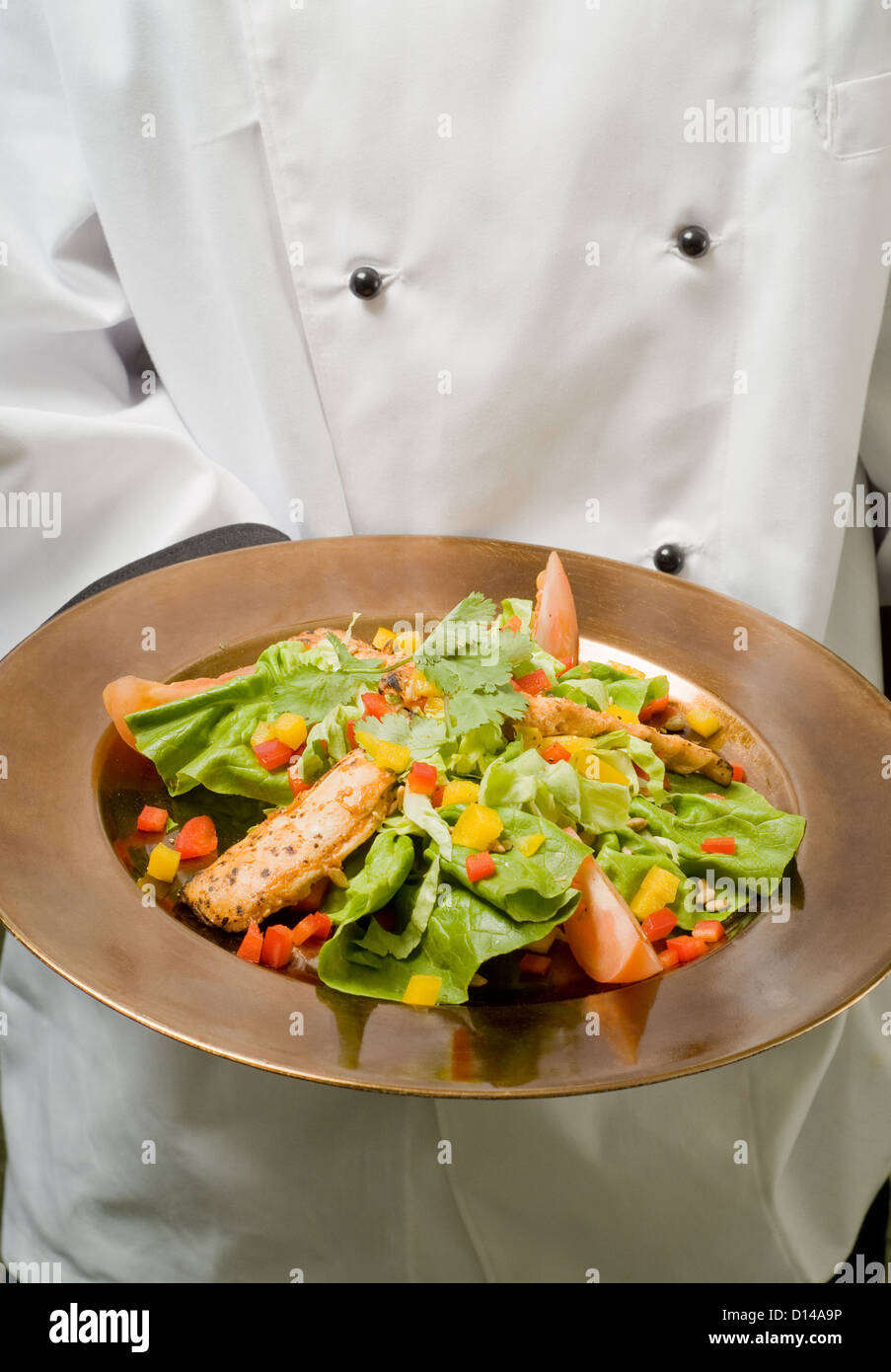 Close-Up of Chef Presenting Plate with Healthy Chicken Salad Stock ...
