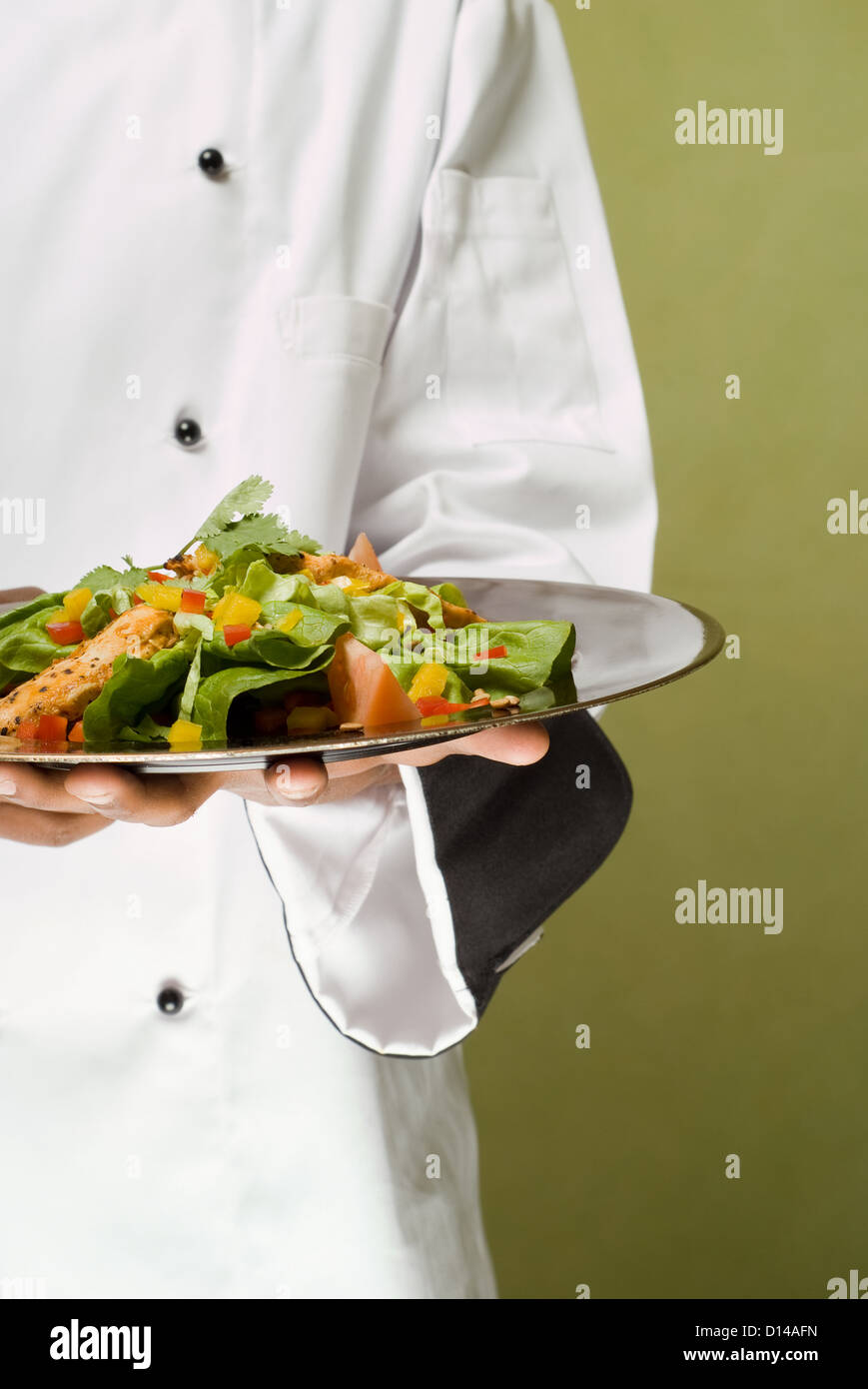 Close-Up of Chef Presenting Plate with Healthy Chicken Salad Stock ...