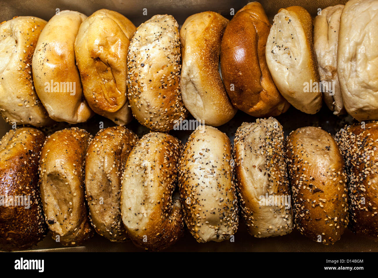 New York Bagels in original package Stock Photo - Alamy