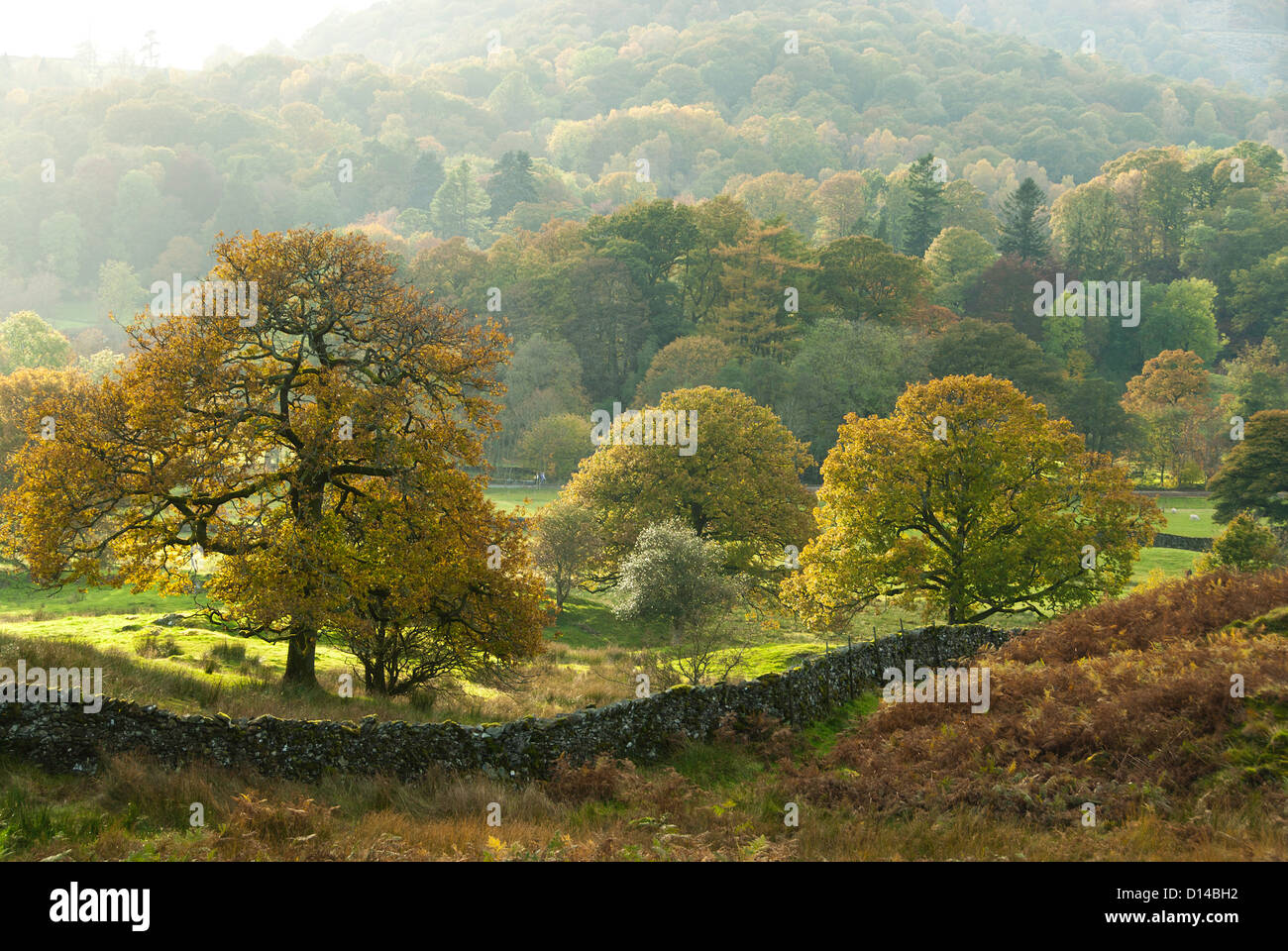 Elterwater cumbria hi-res stock photography and images - Alamy