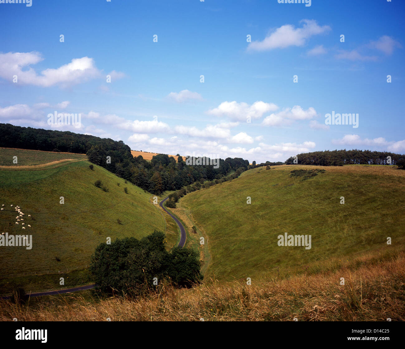 Millington yorkshire hi-res stock photography and images - Alamy