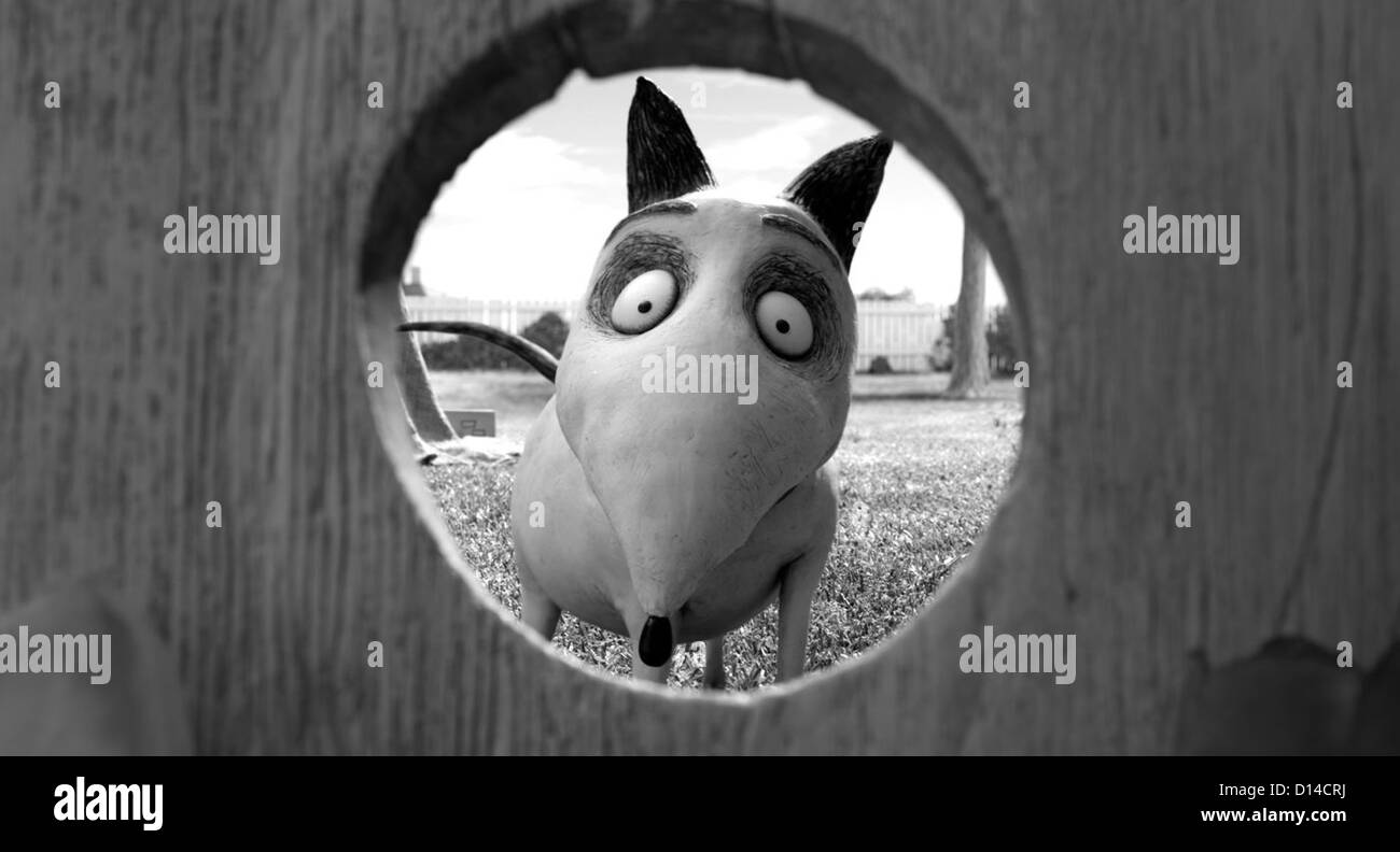 FRANKENWEENIE (2012) TIM BURTON (DIR) 012 MOVIESTORE COLLECTION LTD ...