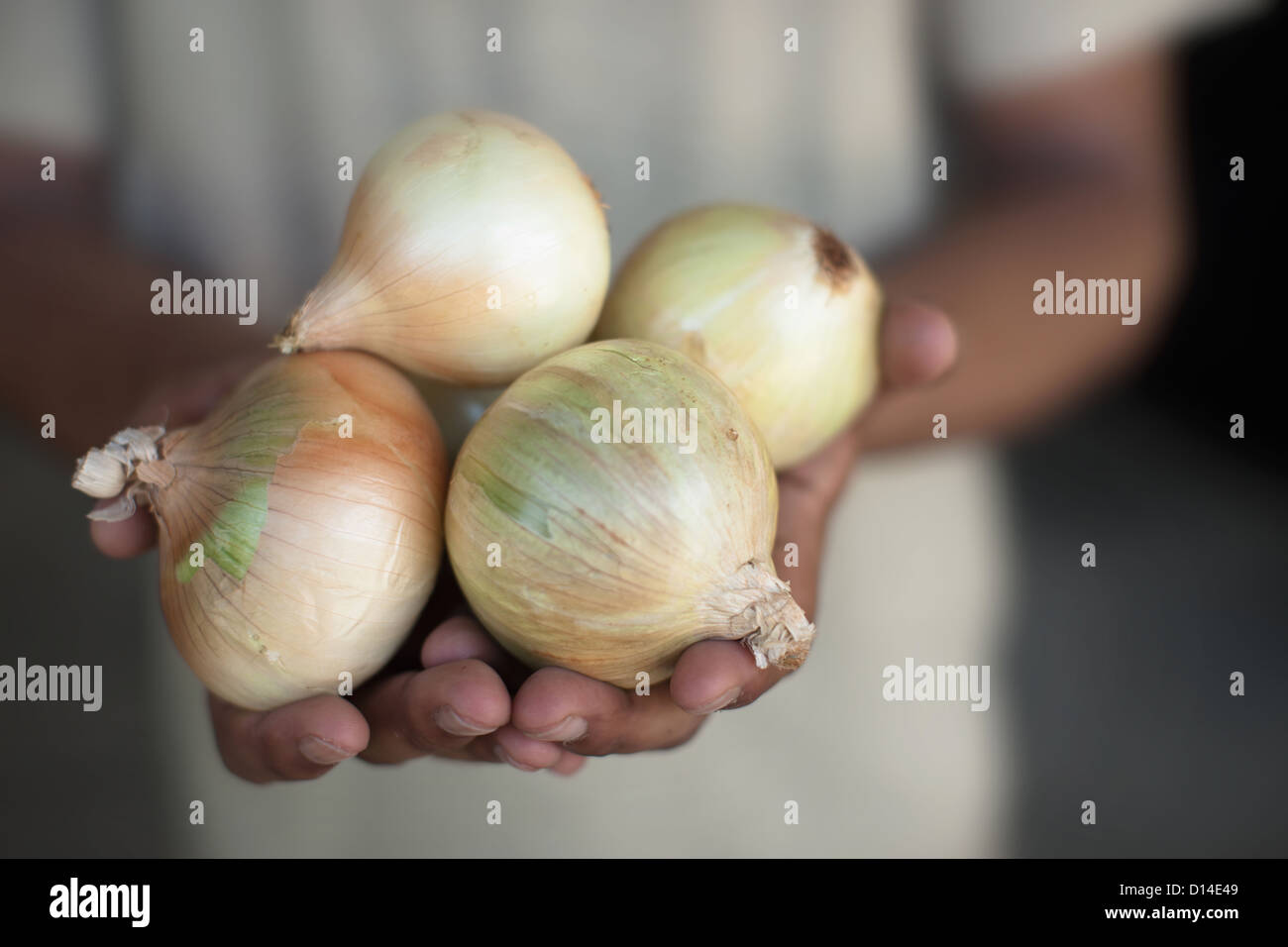 Hands cupping vegetable hi-res stock photography and images - Alamy