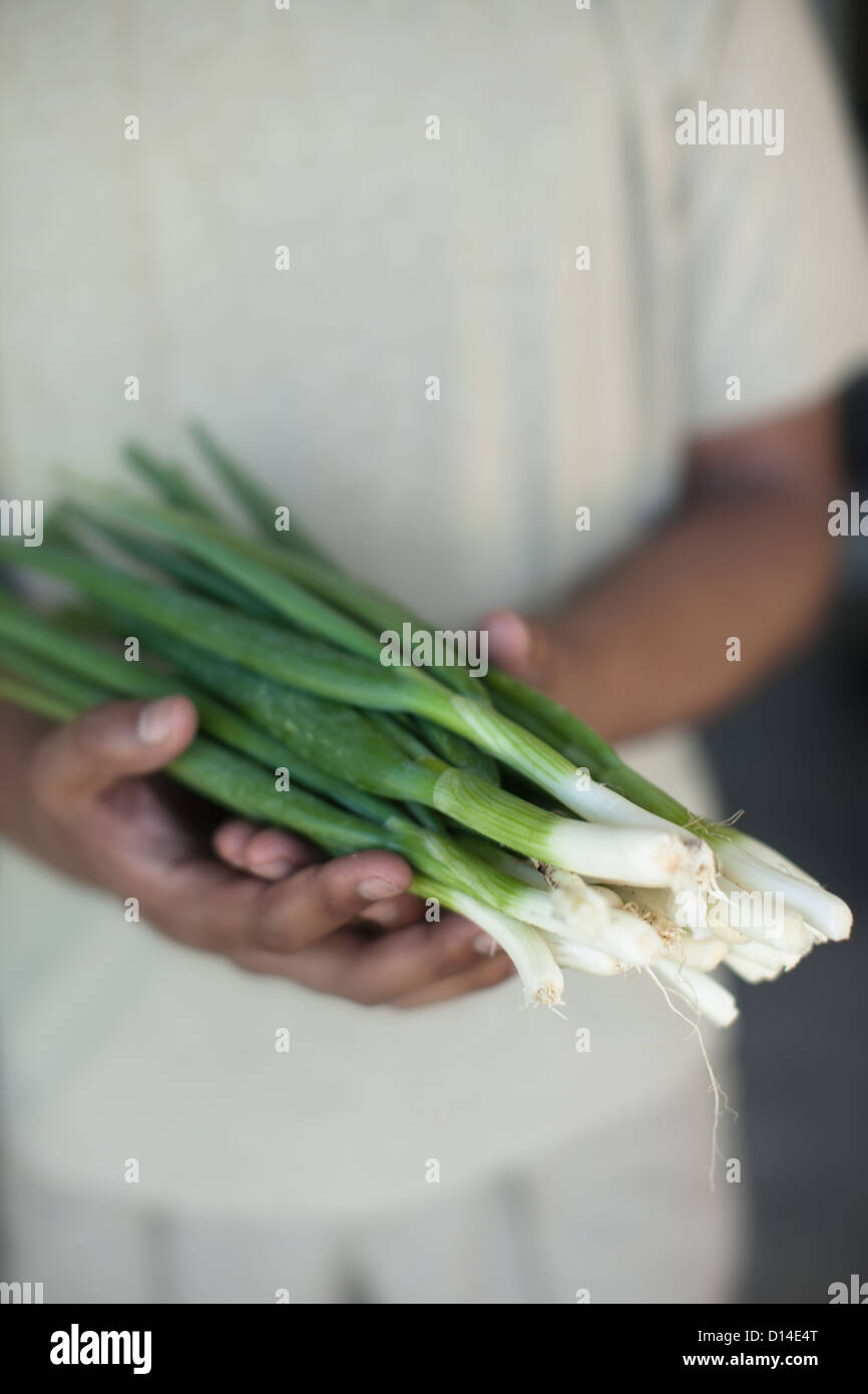 Close up of hands holding green onions Stock Photo - Alamy