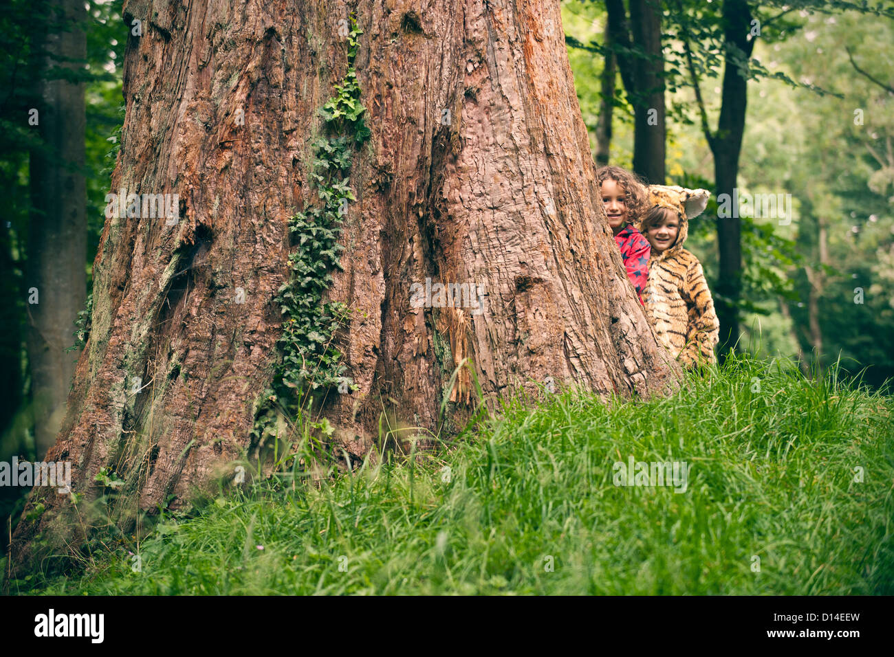 Children playing together in forest Stock Photo - Alamy