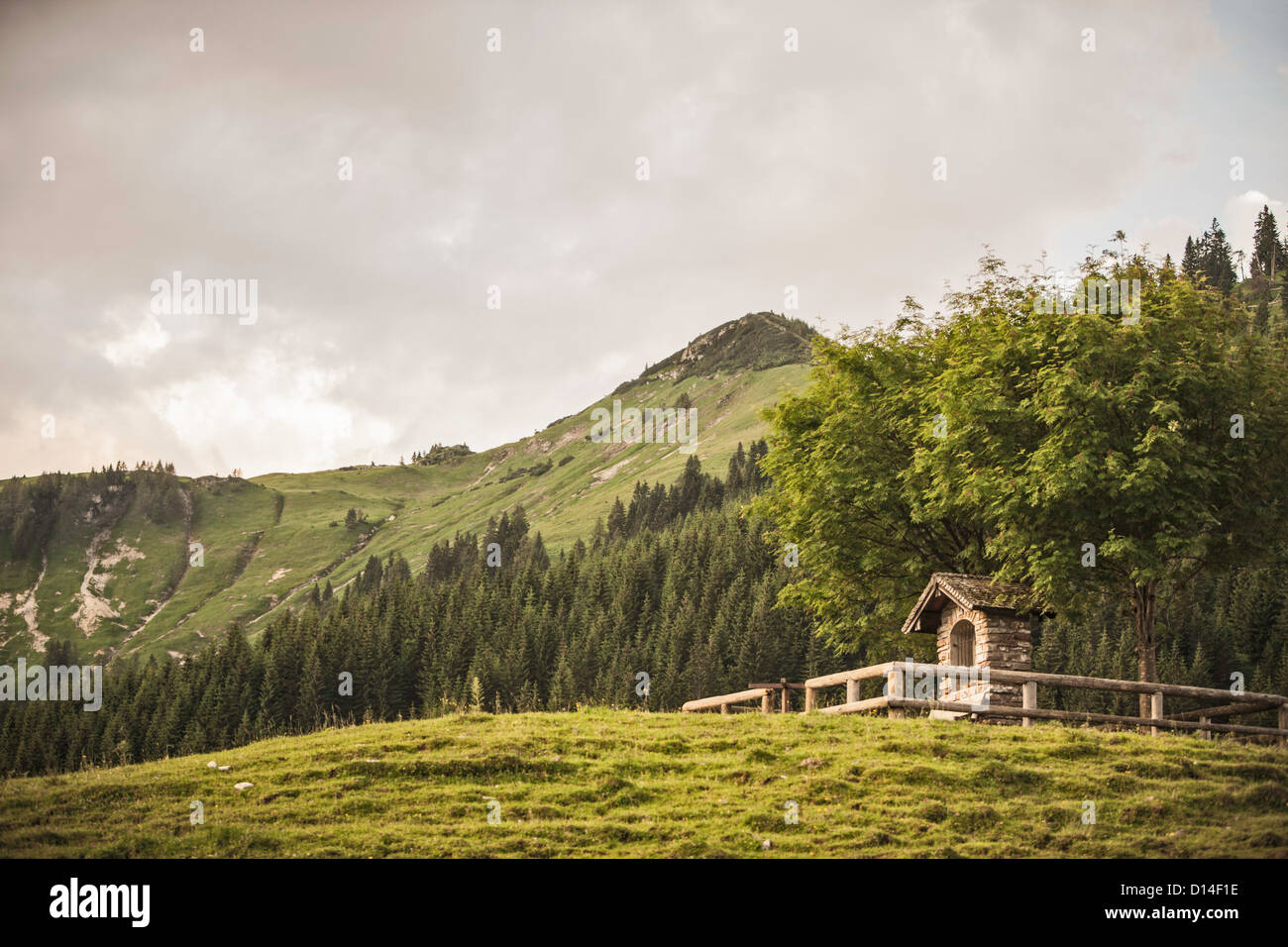 Hillside plant hi-res stock photography and images - Alamy