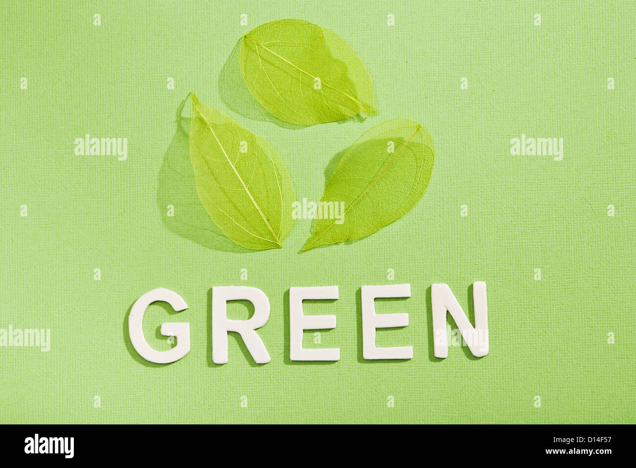 Green leaf cut out hi-res stock photography and images - Alamy