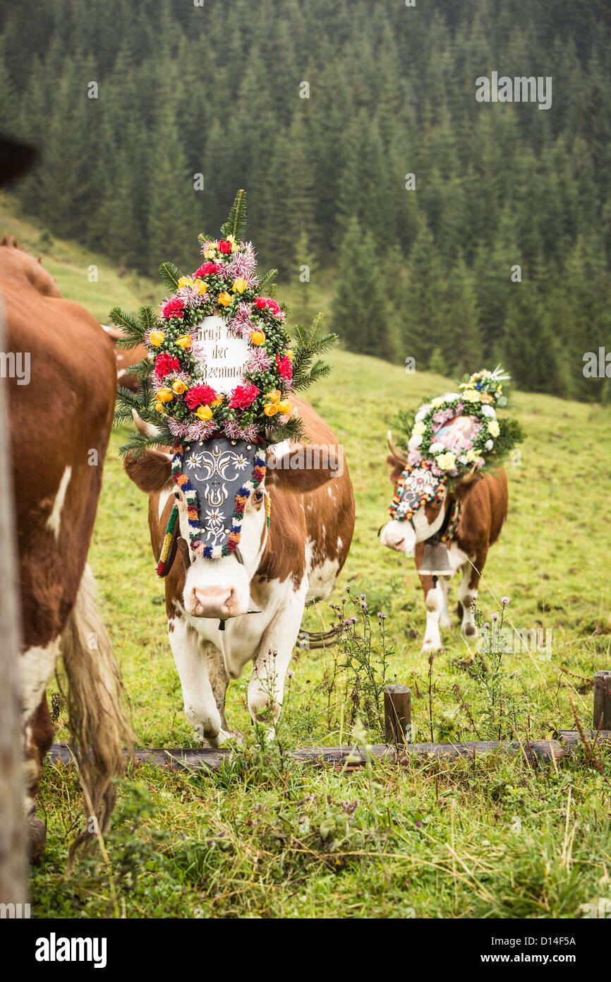 Ornate headdresses hi-res stock photography and images - Alamy