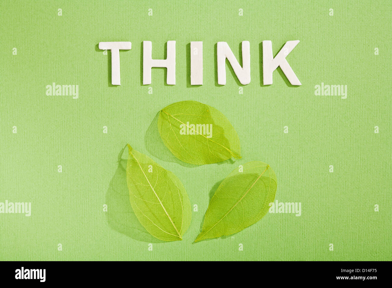Think green leaves background hi-res stock photography and images - Alamy