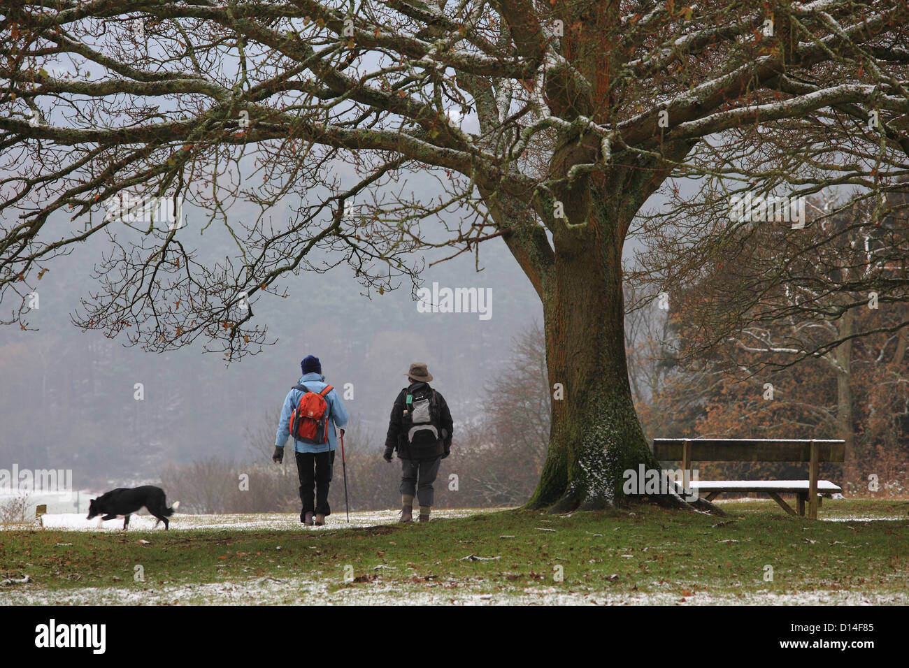 Walkers with dog at Newland's Corner, Surrey Hills, England Stock Photo ...