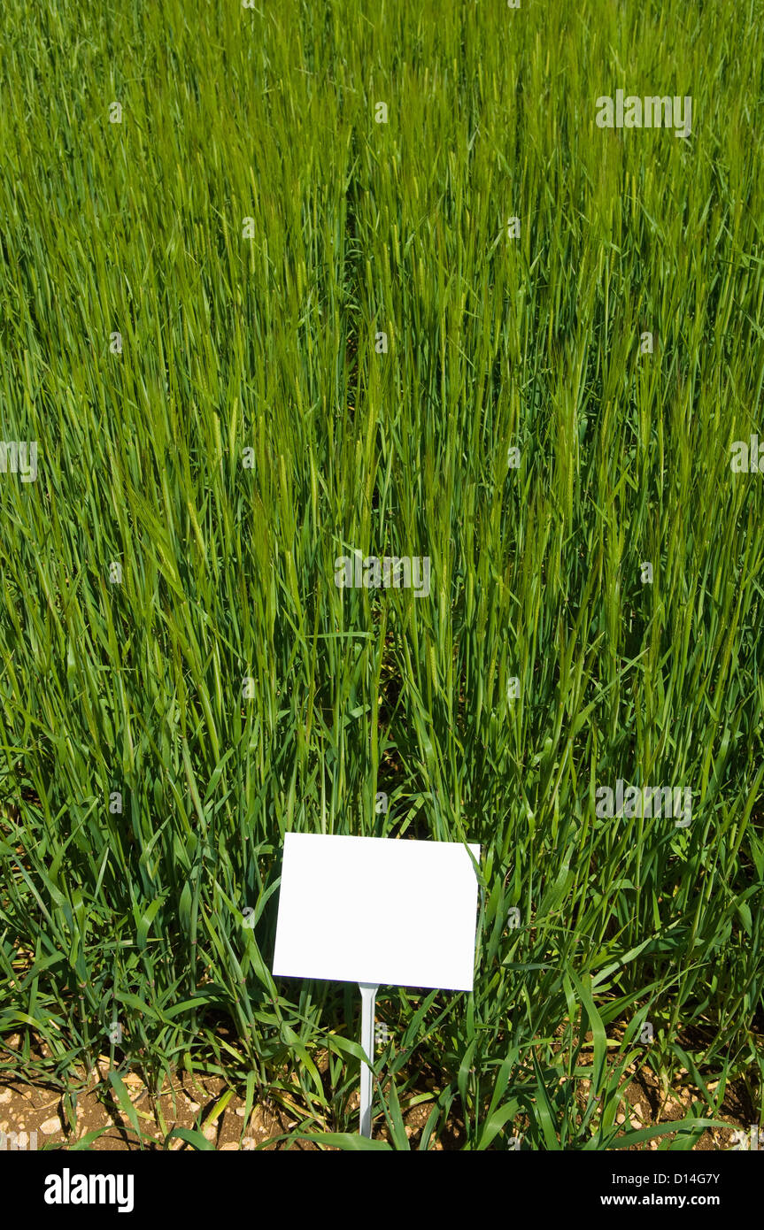 Field card hi-res stock photography and images - Alamy