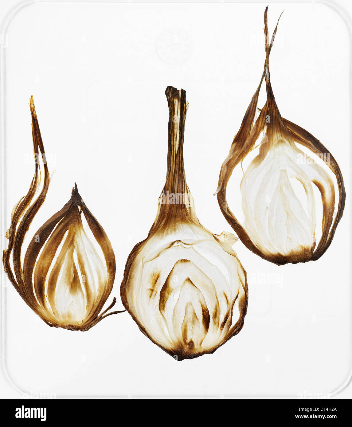 Translucent onions hi-res stock photography and images - Alamy