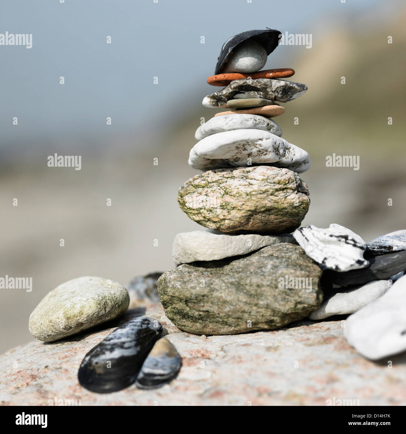 Shell like rock hi-res stock photography and images - Alamy